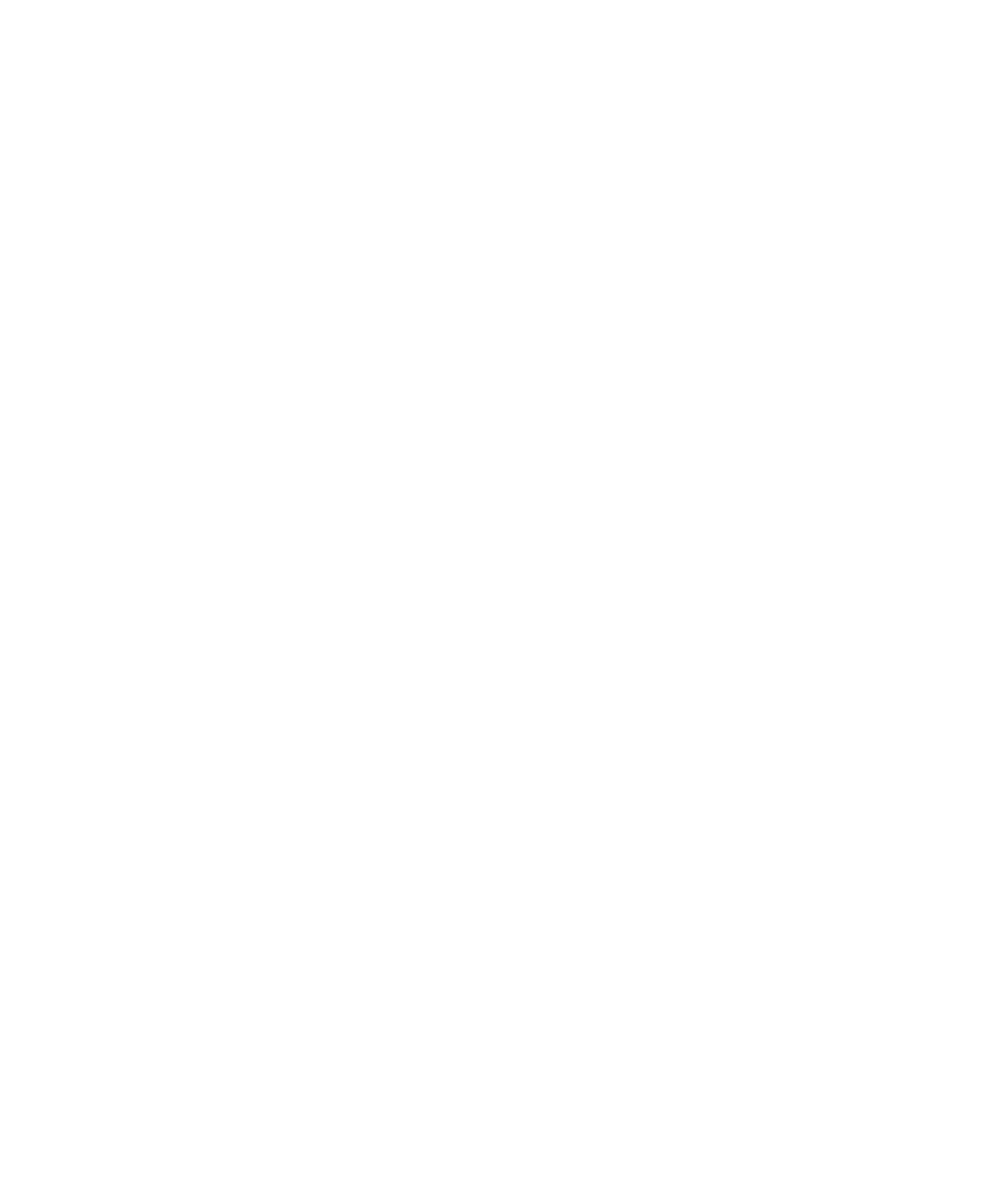 BV Mark - Bureau Veritas Consumer Products Services